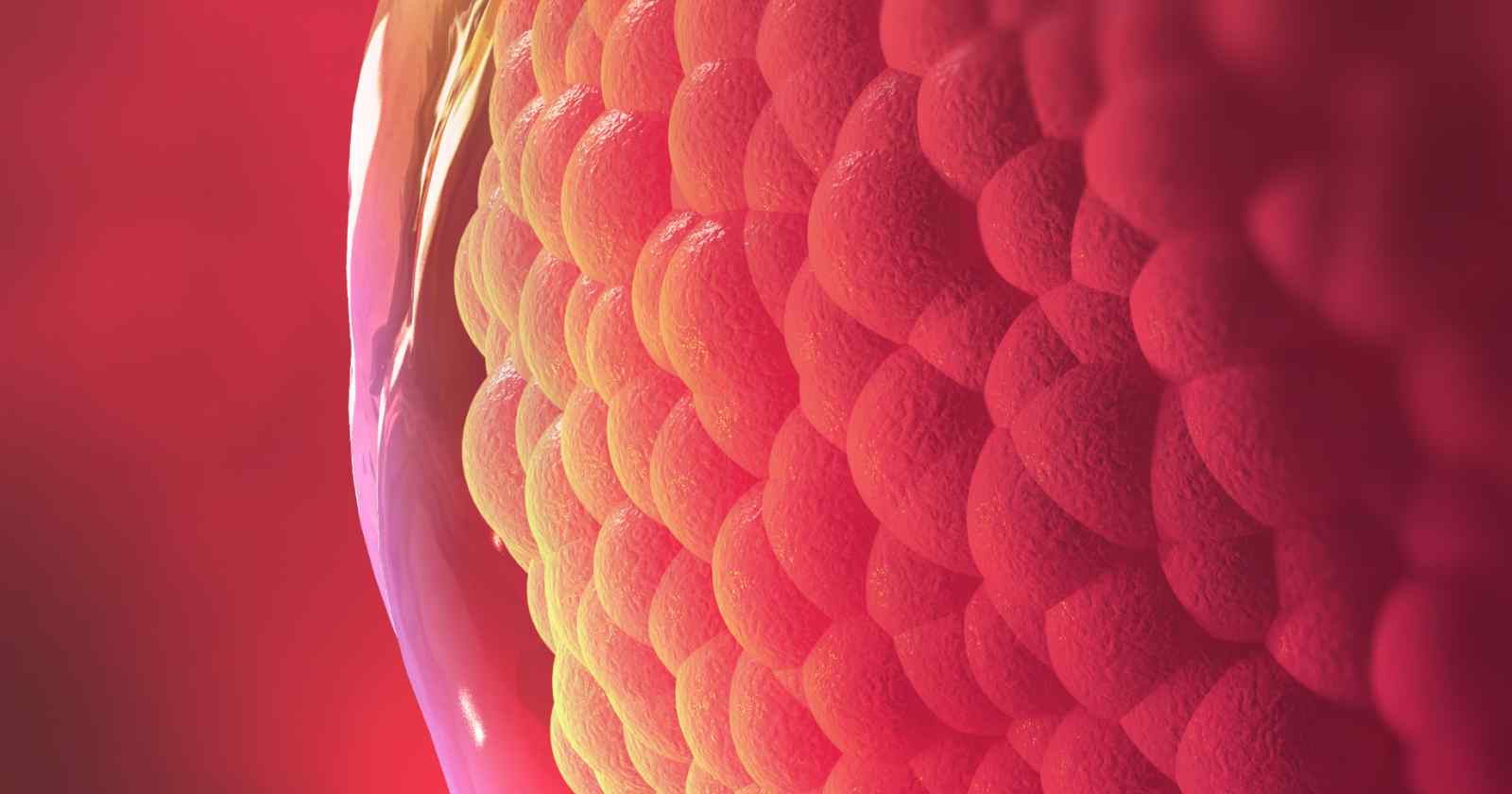 Understanding Menstrual Cycles Your Periods And Ovulation Clearblue